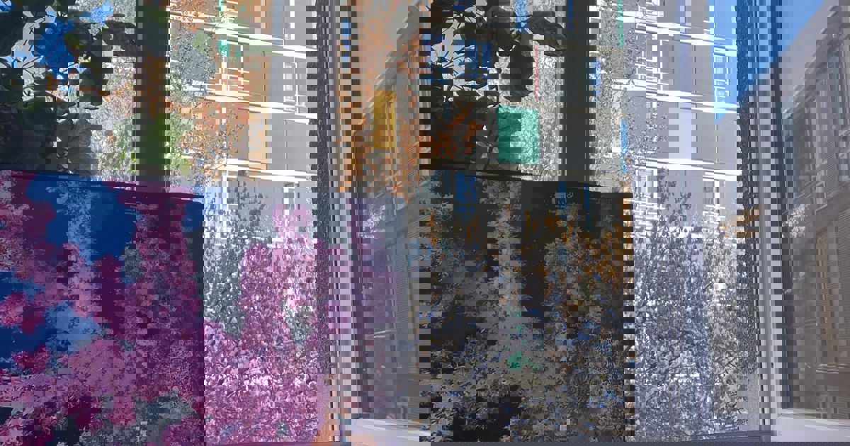 Laginjina, blizu Martićeve | 3 SPAVAĆE + DB | bez provizije | INDEX OGLASI