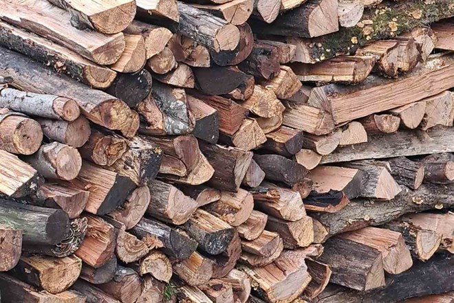 Bukva grab hrast suha drva | INDEX OGLASI